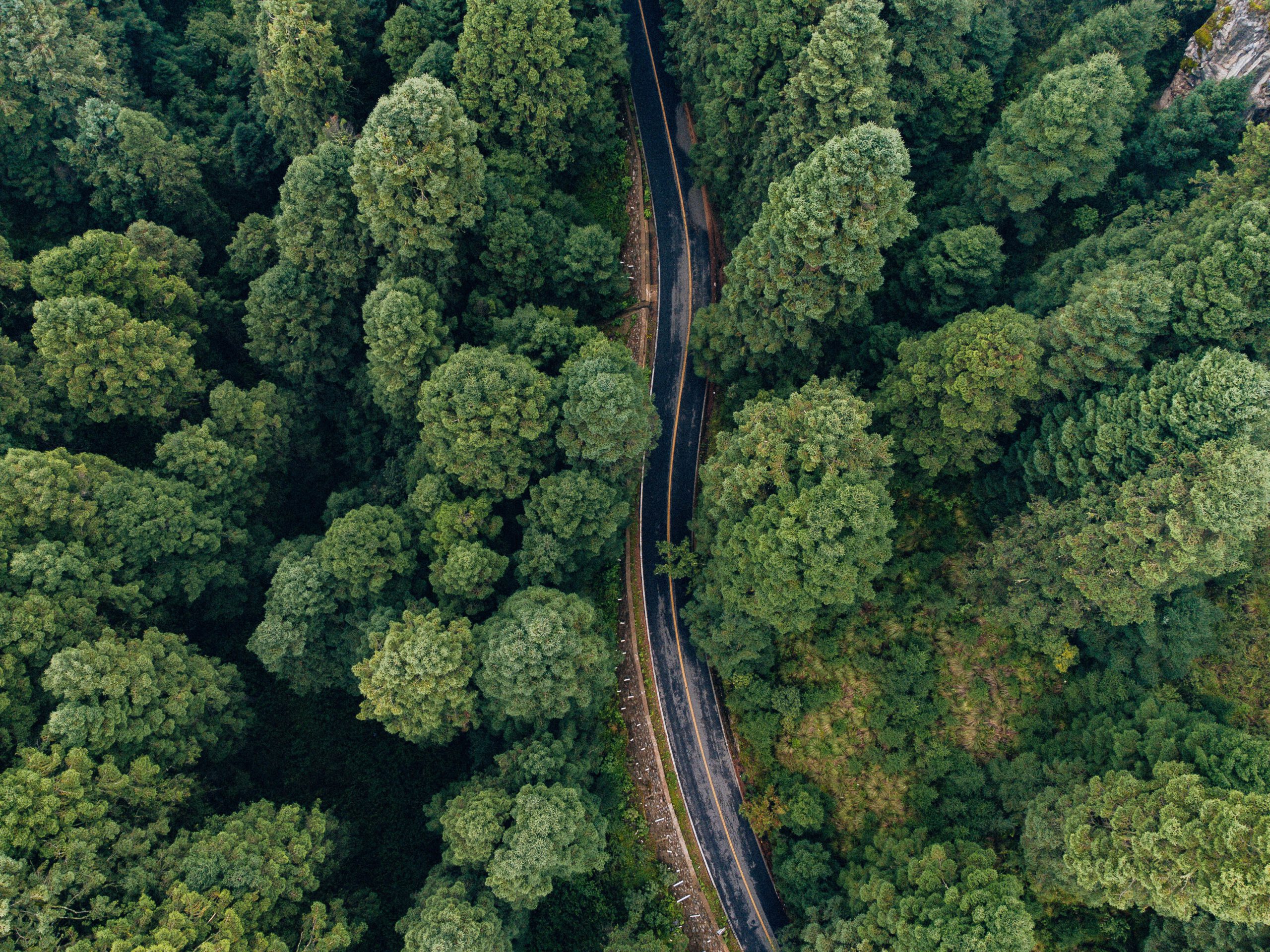 Navigating the Complex Web of Sustainability - bigD